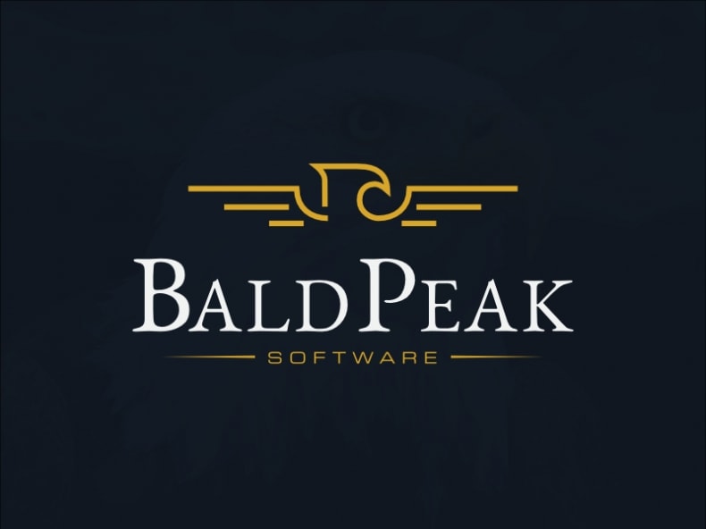 Bald Peak Software Logo Design - WhiteX Design