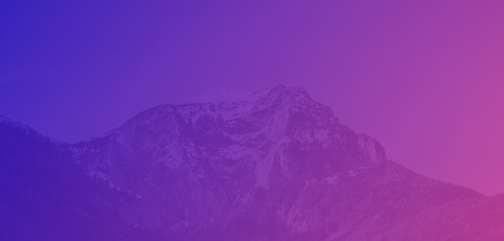 Projects - WhiteX Design